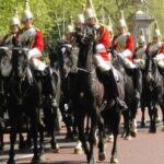 Half Day London Panoramic Private Tour - Exploring the Tour Itinerary in Detail