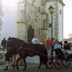 Half-day Lusitanian Horses & Photography Museum private tour - Practical Details & Value