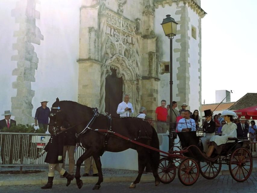 Half-day Lusitanian Horses & Photography Museum private tour - Practical Details & Value