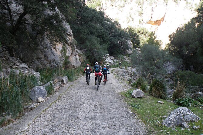 Half-Day Mountain Bike Experience to Serra de Tramuntana, - What the Reviews Say