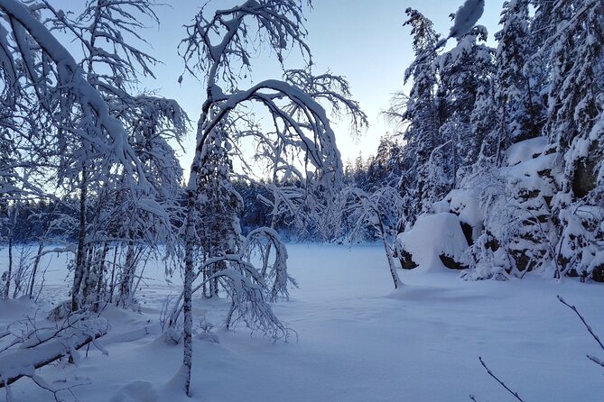 Half-Day Nature Adventure to Nuuksio National Park from Helsinki - Why You’ll Love This Experience