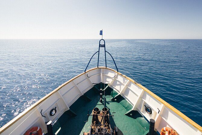 Half-Day Odyssey Guided Boat Safari with Lunch in Cyprus - Experience Quality and Value