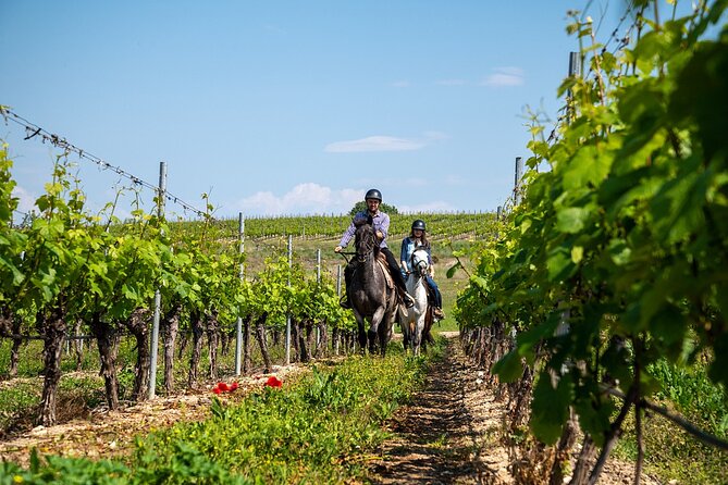 Half-Day of Horseback Adventure with Wine Tasting - Exploring a Half-Day Horseback Adventure with Wine Tasting in Bulgaria