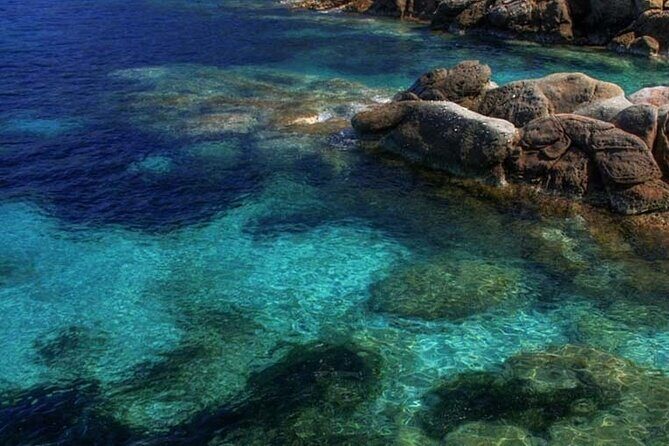 Half Day of Snorkeling and a Swim on Elba Island - Price and Value