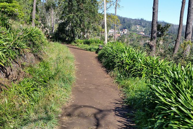 Half-Day Paradise Valley Walking Tour - Introduction