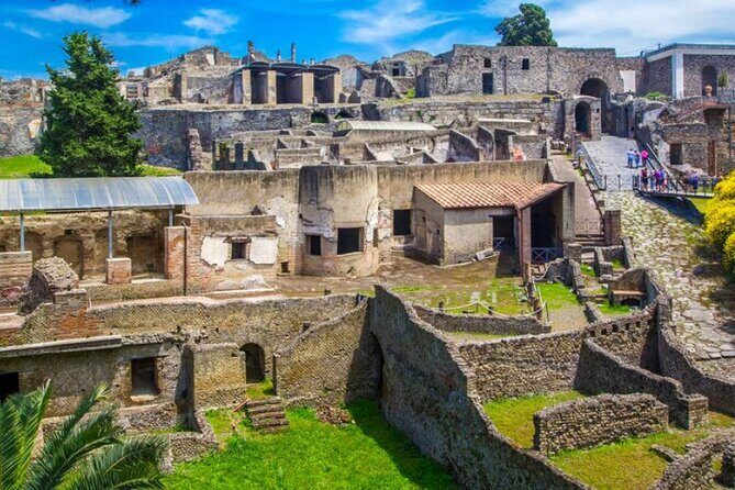 Half Day Pompeii Naples Private Tour - Pricing and Value Analysis