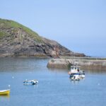 Half-Day Private Doc Martin and Fisherman's Friends Tour - What to Expect During the Tour