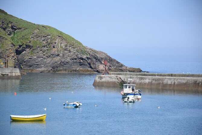 Half-Day Private Doc Martin and Fisherman's Friends Tour - What to Expect During the Tour