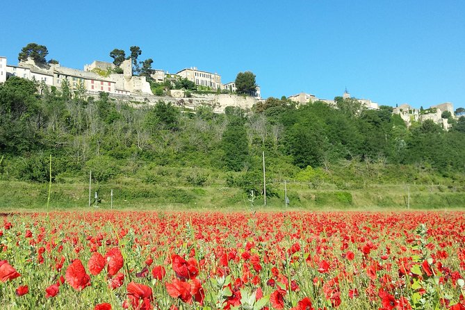 Half day private tour for 2-3 person - Key Highlights of the Private Provence Tour