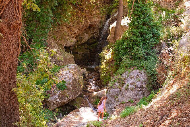 Half-Day Private Tour & Picnic in Real Cretan Countryside Retreat - The Experience’s Strengths and Considerations