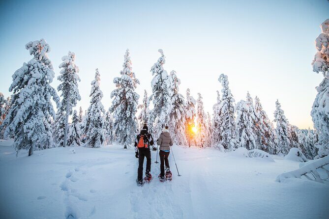 Half Day Snowshoe Hiking Adventure in Levi Lapland - What’s Included & Why It Matters