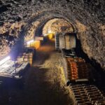 Half Day Tokaj Wine Tasting Tour in Mád Hungary with lunch - Practical Details and What to Expect