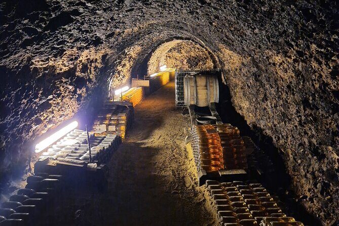 Half Day Tokaj Wine Tasting Tour in Mád Hungary with lunch - Practical Details and What to Expect