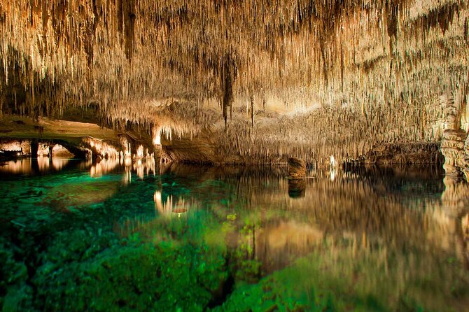 Half Day Tour Bus to the Caves of Drach - Key Points