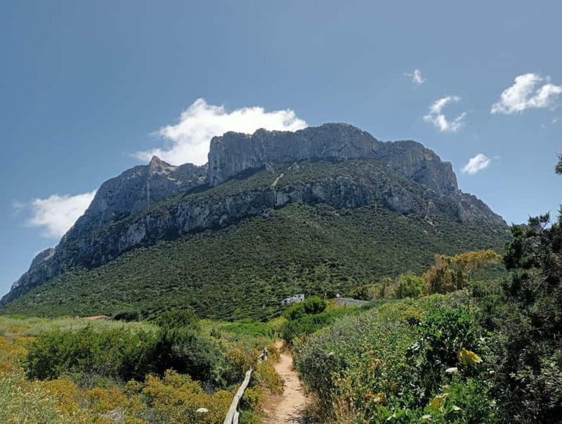 Half-day tour by dinghy in the Tavolara Marine Protected Area - What to Expect from This Sardinian Marine Adventure