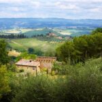 Half-Day Tour of San Gimignano From Florence - Analyzing the Value: Price and Experience