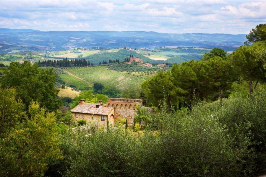 Half-Day Tour of San Gimignano From Florence - Analyzing the Value: Price and Experience