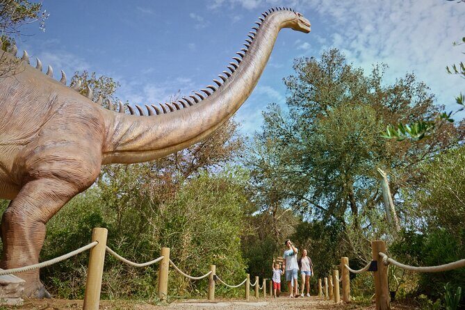 Half Day Tour to Dinosaur Land in Mallorca - Who Will Love This Tour?