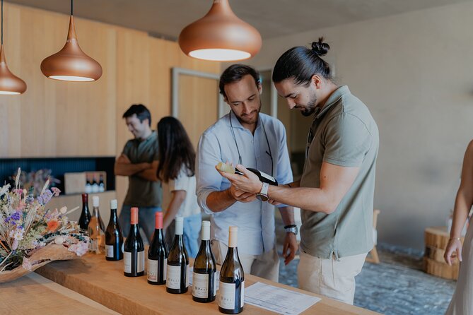 Half Day Wine Tour Around Evora - Introduction