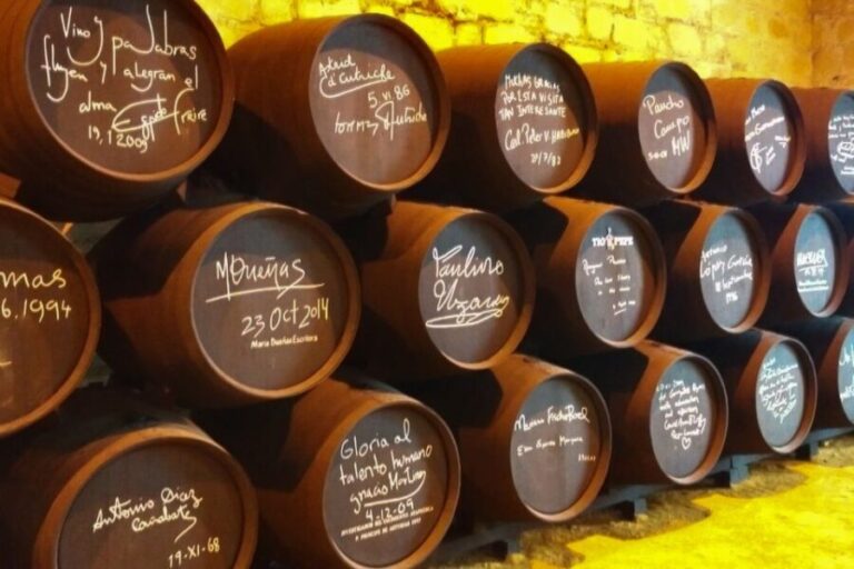 Half-Day Wine Tour in Andalusia in small group - Detailed Breakdown of the Itinerary