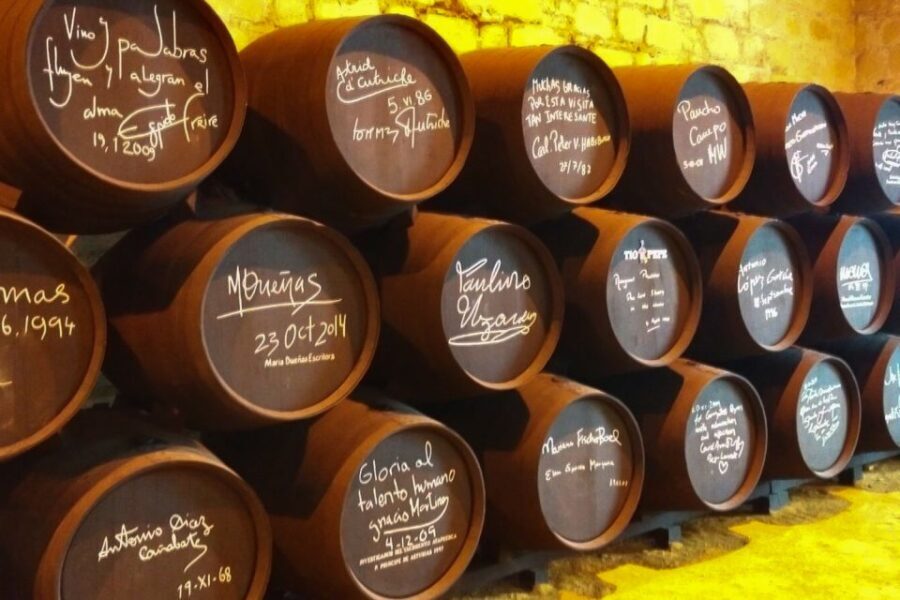 Half-Day Wine Tour in Andalusia in small group - Detailed Breakdown of the Itinerary