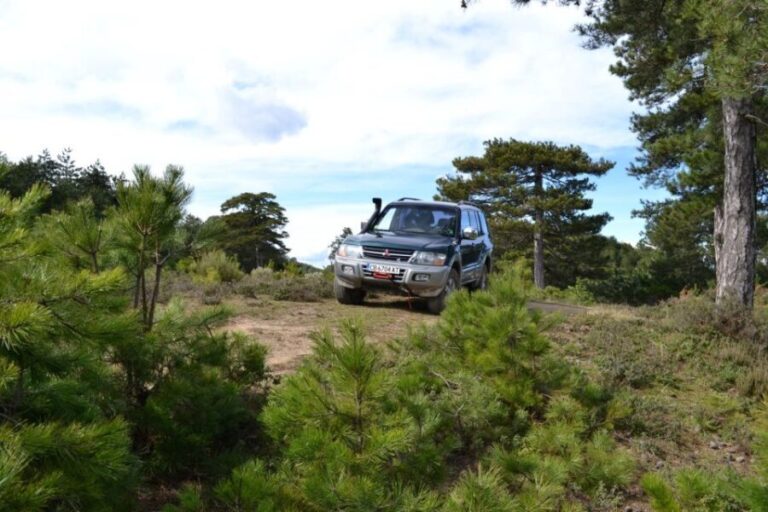 Halkidiki: Kassandra 4x4 Jeep Safari Off-Road Experience - Who Should Consider This Tour?