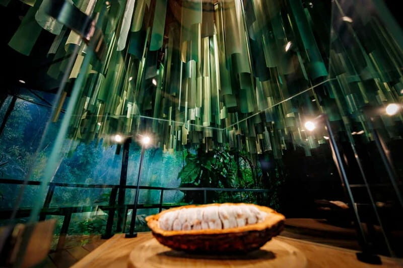 Hamburg: Chocoversum Guided Tour with Tastings - The Sum Up