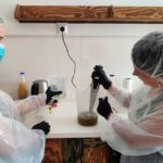 Handmade soap workshop - An In-Depth Look at the Workshop Experience