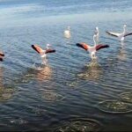 Happy tour camargue an immersion by bike and scooter E - The Experiences Perceived Value