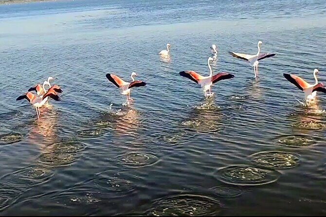 Happy tour camargue an immersion by bike and scooter E - The Experiences Perceived Value