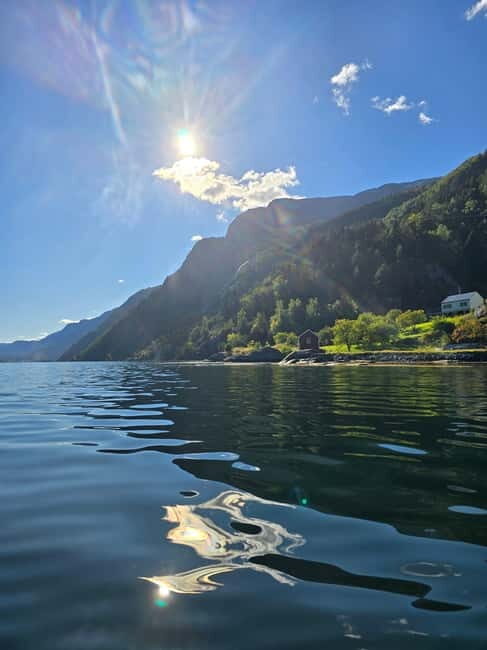 Hardangerfjord: Guided Kayak Tour - What to Expect on the Hardangerfjord Guided Kayak Tour