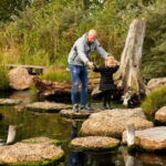 Harderwijk: Dolfinarium Entry Ticket - The Highlights of Your Visit
