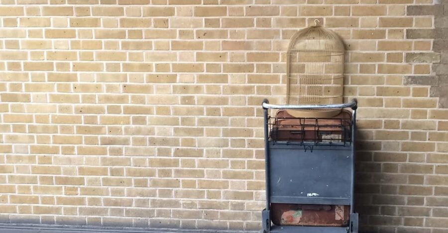 Harry Potter Private Tour of London in Spanish - How Does It Reflect Value?