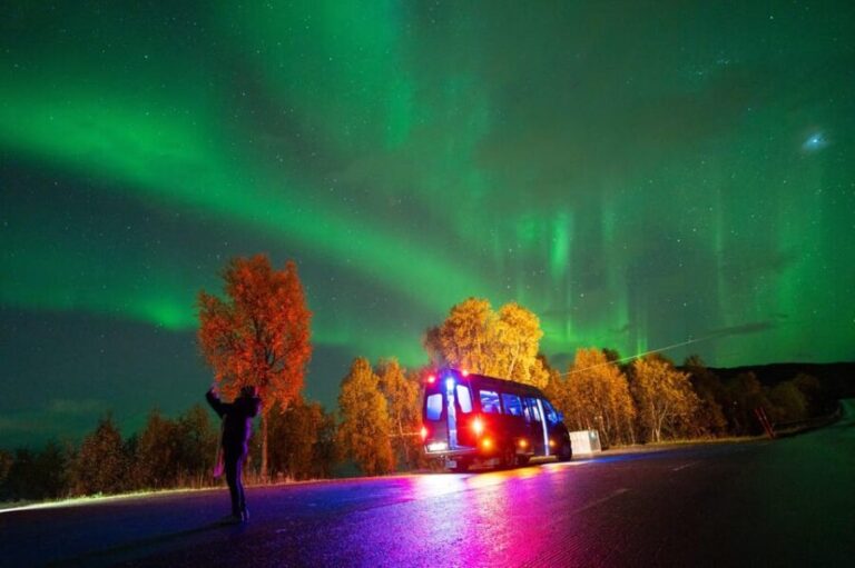Harstad: Northern Lights Hunt on Hinnøya Island - Why This Tour Offers Excellent Value