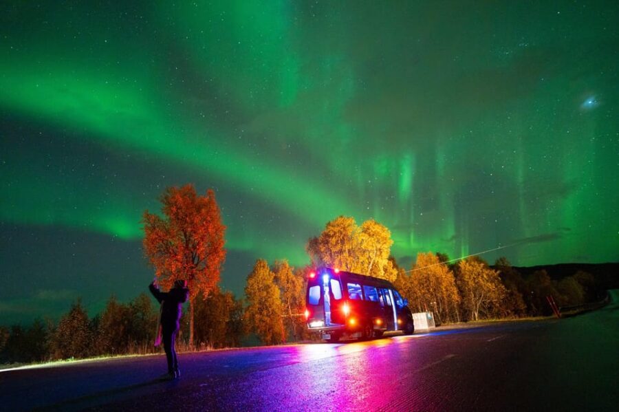 Harstad: Northern Lights Hunt on Hinnøya Island - Why This Tour Offers Excellent Value