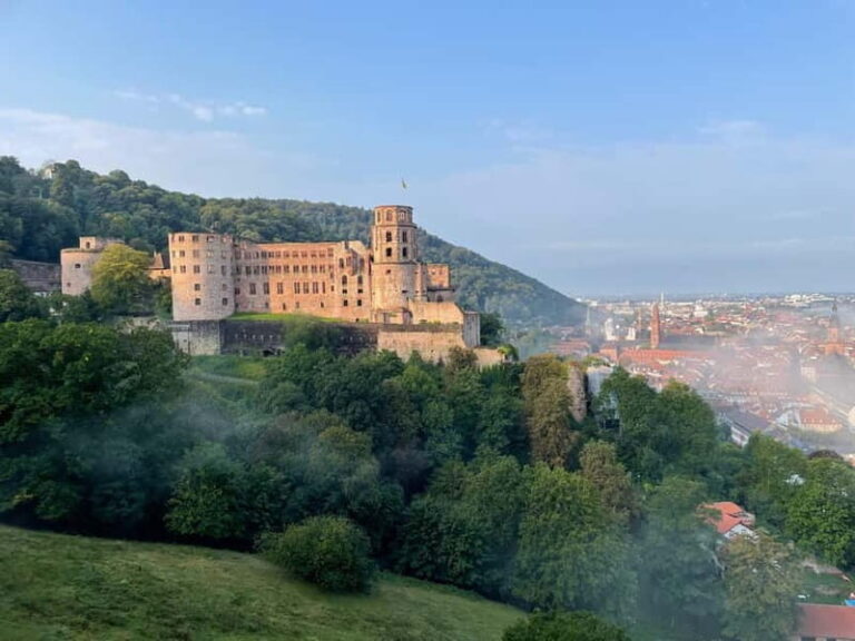 Heidelberg: Discover Heidelberg Castle - experience history up close - Is This Tour Right for You?