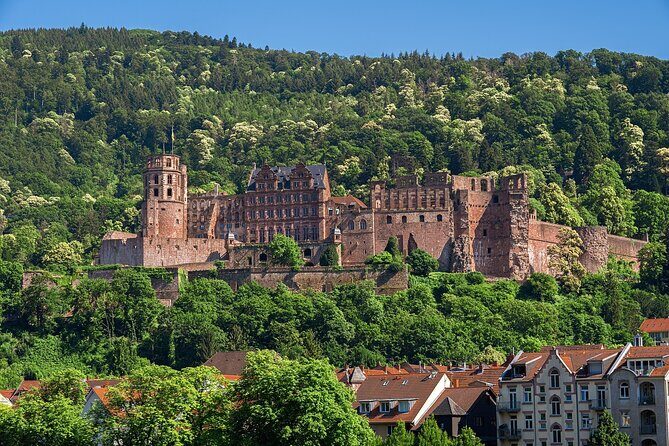 Heidelberg Heritage: Private Old Town and Castle Tour - In-Depth Breakdown of the Itinerary