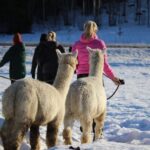 Helsinki: Alpaca Farm Tour with Guided Walk (private) - Who Will Love This Tour?