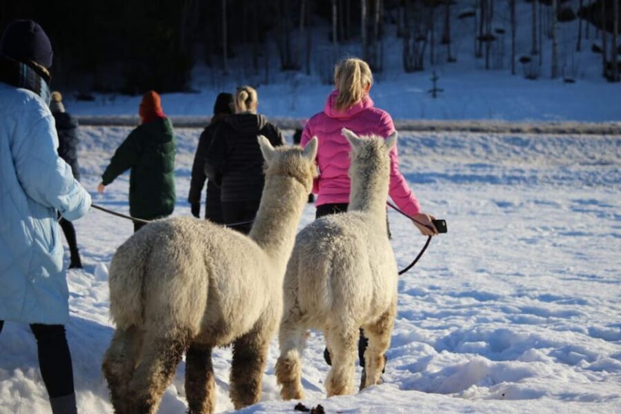 Helsinki: Alpaca Farm Tour with Guided Walk (private) - Who Will Love This Tour?
