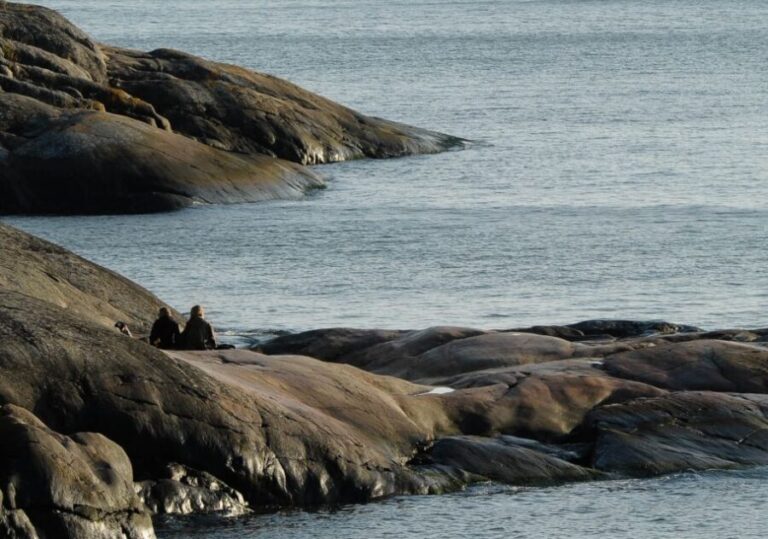 Helsinki: City and Outer Islands Guided RIB Boat Tour - Is It Worth the Price?