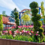 Helsinki: Linnanmäki Amusement Park - Authentic Visitor Insights