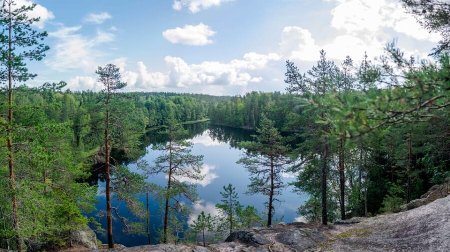 Helsinki: Nuuksio National park hiking with campfire lunch - Final Thoughts: Is This Tour Worth It?