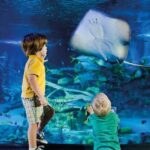 Helsinki: Sea Life Entrance Tickets - An In-Depth Look at Sea Life Helsinki