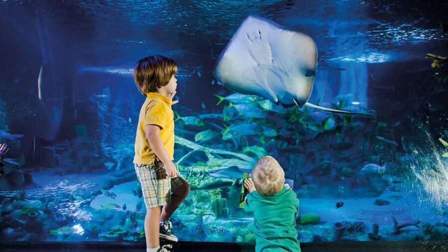 Helsinki: Sea Life Entrance Tickets - An In-Depth Look at Sea Life Helsinki
