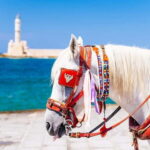 Heraklion Areas:Rethymno,Chania & Lake Kournas Full-Day Tour - The Pros and Cons