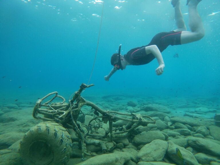 Heraklion: Beginner-Friendly Snorkeling Trip - An Honest Look at the Snorkeling in Agia Pelagia Bay