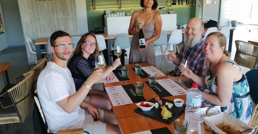 Heraklion: Cretan Wine Tasting Tour & Gourmet Lunch - The Wineries and Vineyards