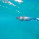 Heraklion: Diving, Swimming, and Snorkeling like a Mermaid - Itinerary Breakdown: What to Expect at Each Stop