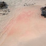 Heraklion: Elafonisi Beach: Discover the Pink Sand Paradise - Who Should Take This Tour?