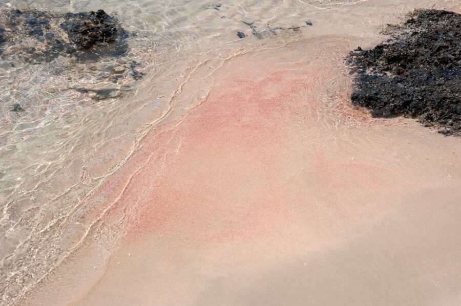 Heraklion: Elafonisi Beach: Discover the Pink Sand Paradise - Who Should Take This Tour?